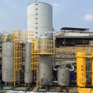 Advanced Biogas Decarbonization and Purification Unit for High-Purity ...